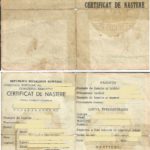 Certificat de naștere trilingv - Musterübersetzungen von Urkunden