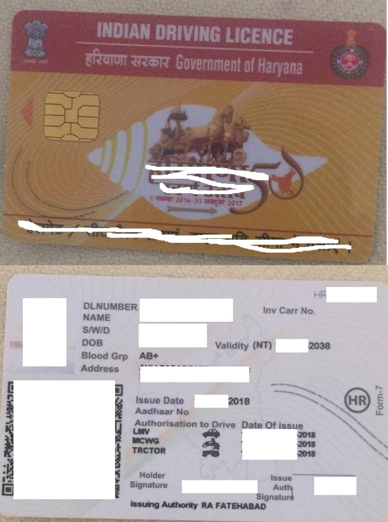 Indian Driving Licence, 2018 - Musterübersetzungen von Urkunden
