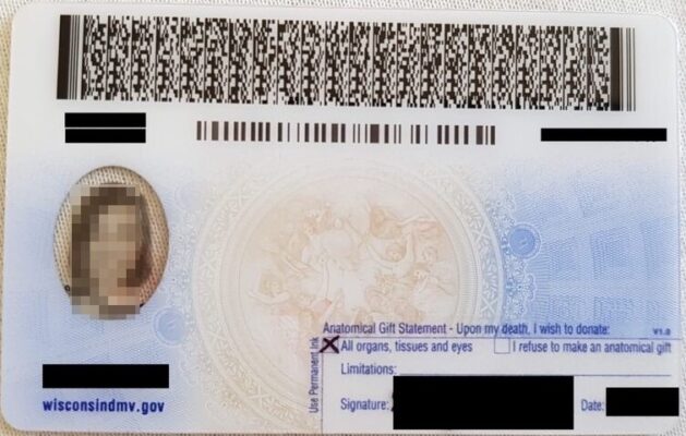 Driver License Regular Wisconsin USA - Musterübersetzungen von Urkunden