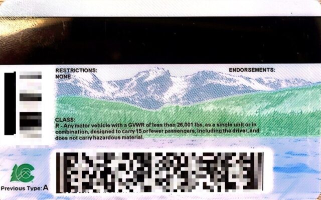 Driver License Colorado USA - Musterübersetzungen von Urkunden